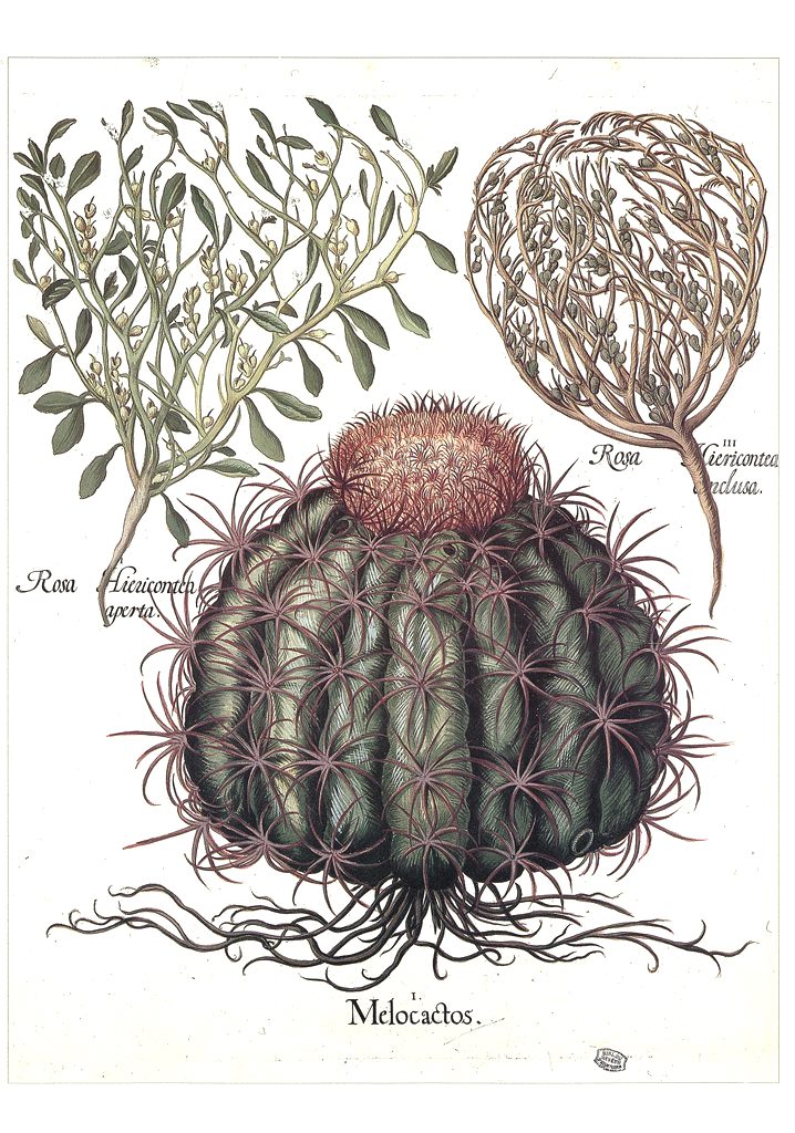 François MITTERRAND 1993 | Menus Concorde